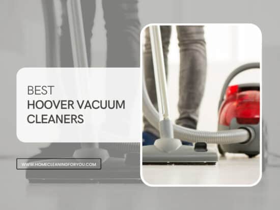 15 Most Powerful Bug Vacuums for Effortless Pest Control