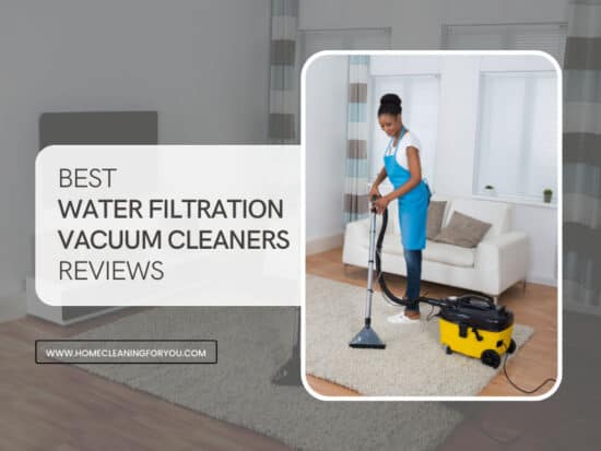 15 Most Powerful Bug Vacuums for Effortless Pest Control