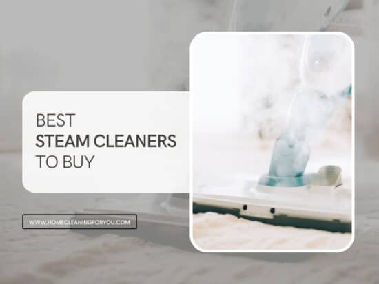 Top 15 Best Steam Cleaners For The Money To Buy 2024