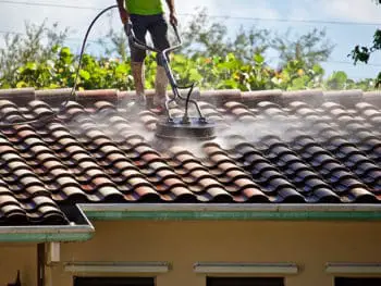 15 Best Roof Cleaners That Actually Work Wonders