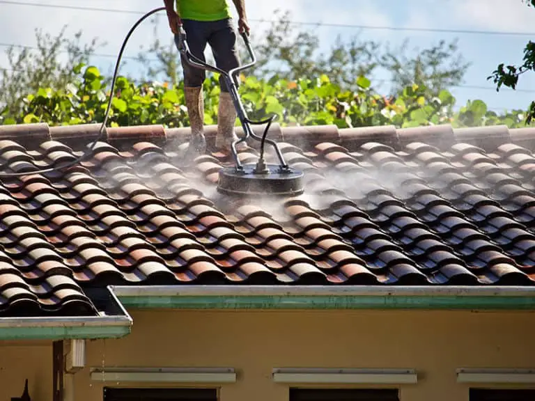 15 Best Roof Cleaners That Actually Work Wonders
