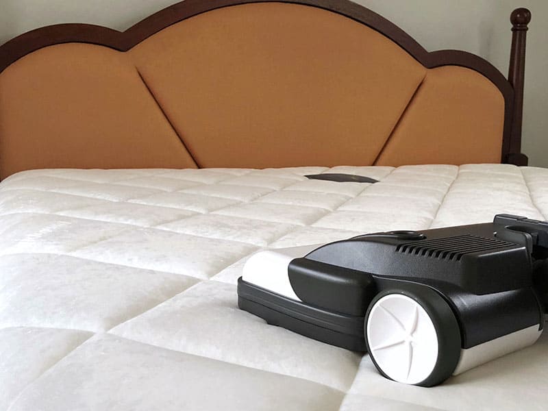 15 Most Powerful Bug Vacuums for Effortless Pest Control