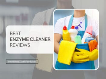 Top 15 Best Enzyme Cleaner on The Market with Reviews 2024
