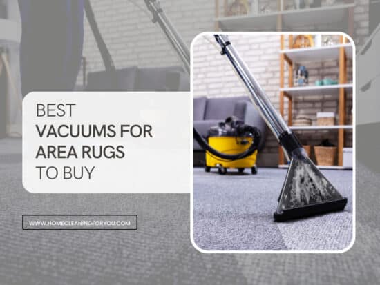 15 Most Powerful Bug Vacuums for Effortless Pest Control