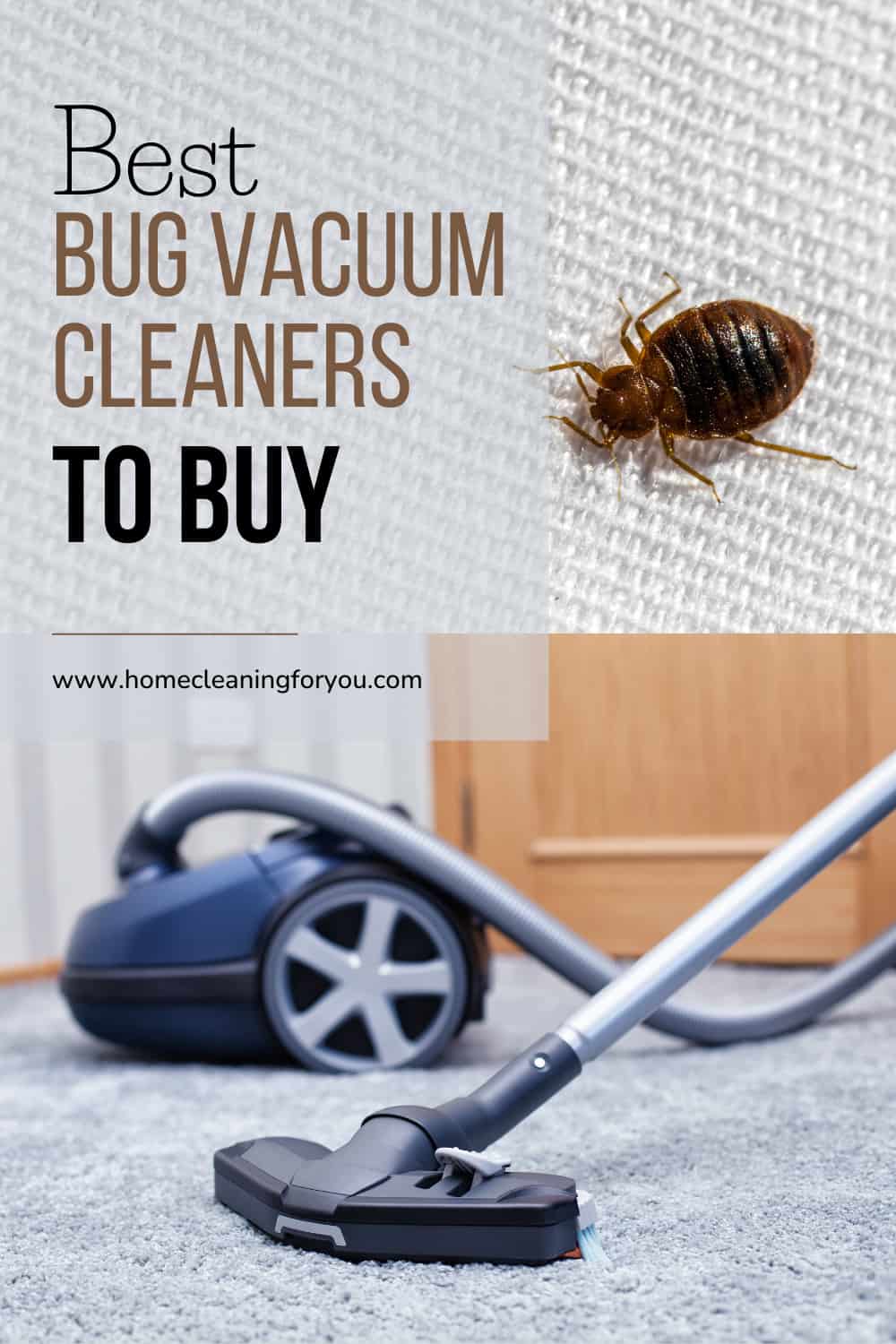 15 Most Powerful Bug Vacuums for Effortless Pest Control