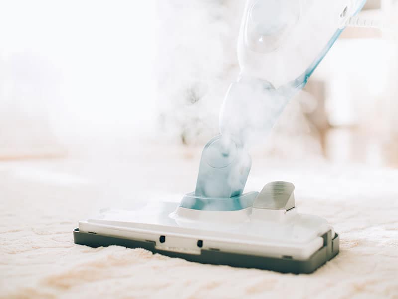 15 Top-Rated Cordless Steam Mops That Won't Break the Bank