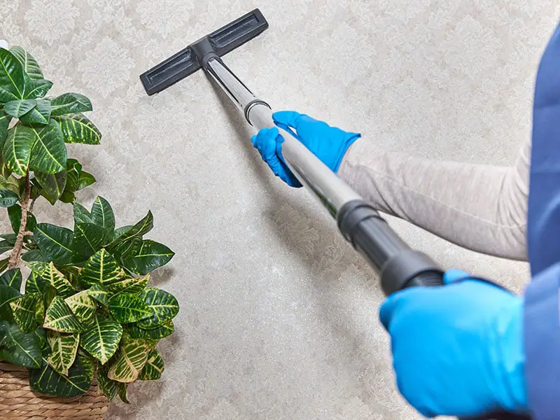 17 Most Powerful Steamer Cleaners for Spotless Walls & Ceilings