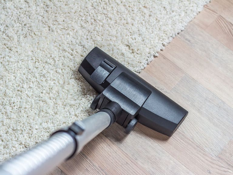 15 Top-Rated Vacuums for Wool Carpet: Your Ultimate Guide