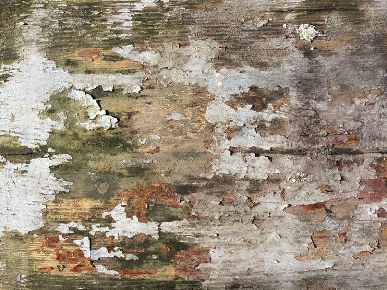 Best Ways to Banish Basement Mold Quickly & Easily