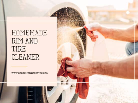 10 Perfect Homemade Vinyl Record Cleaners