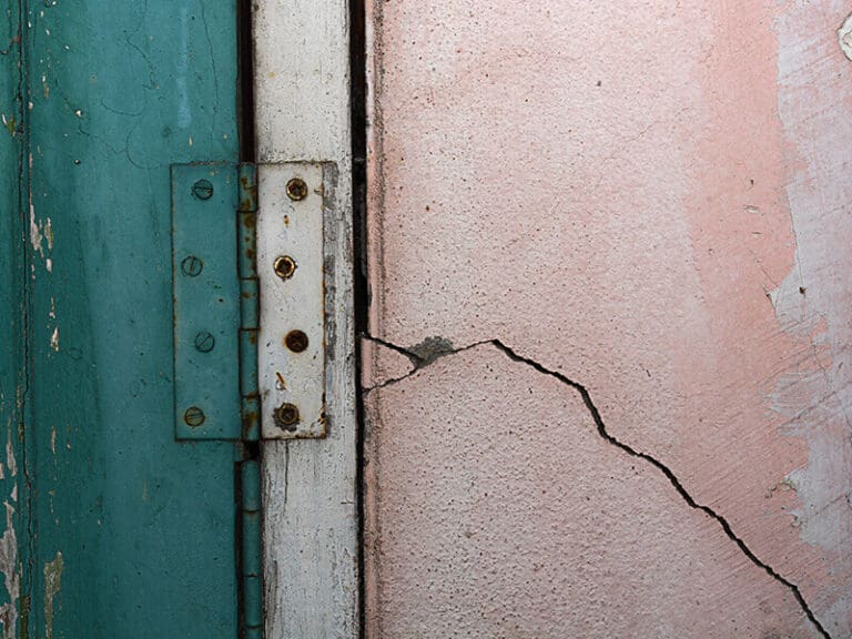 Quick & Effective Ways to Get Rid of Maggots on Floors