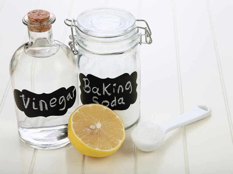 13 Perfect Homemade Grill Cleaners That Work Perfectly